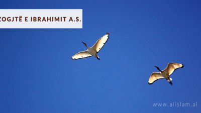 Lutje e përsosur, shumë emocionuese e Profetit Muhamed s.a.